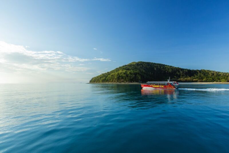 Airlie Beach: Whitehaven Full-Day Eco-Cruise with Buffet - The Price & the Value