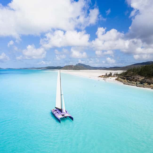 Airlie Beach: Whitsundays Full-Day Camira Sailing Adventure - Snorkelling and Marine Life