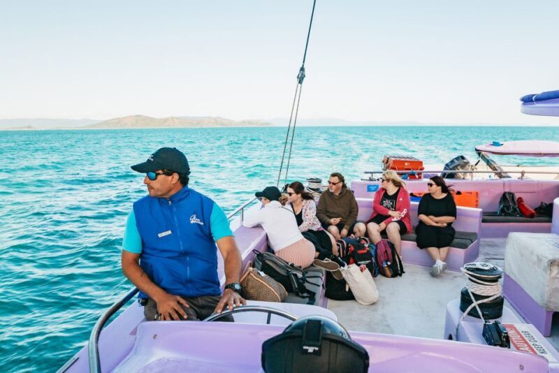 Airlie Beach: Whitsundays Full-Day Camira Sailing Adventure - Crew and Atmosphere: Friendly and Attentive