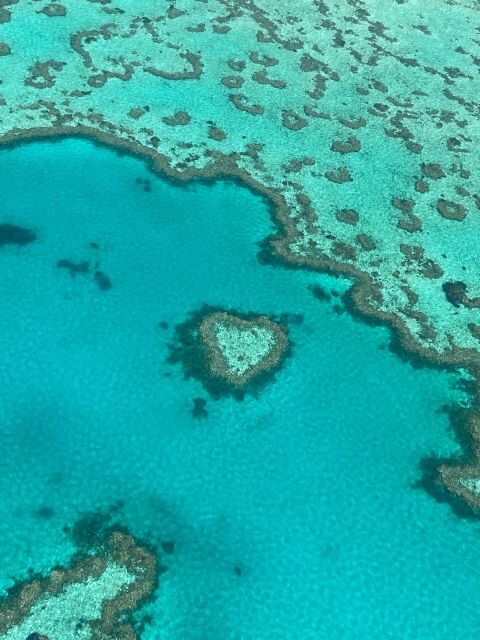 Airlie Beach: Whitsundays & Great Barrier Reef Scenic Flight - What the Reviews Say