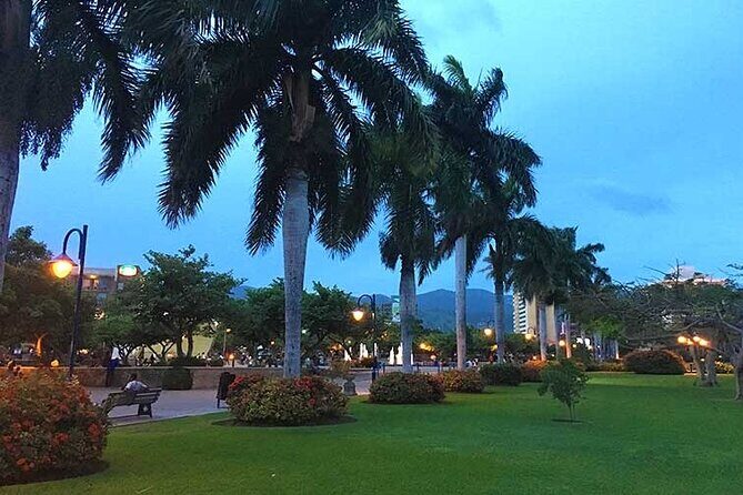 Airport Group Transfers-Kingston - Who Should Consider This Transfer Service?