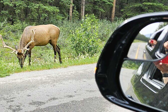 Airport Pickup & Private Tour from Calgary to The Rockies! - Duration and Price: Balancing Cost with Experience
