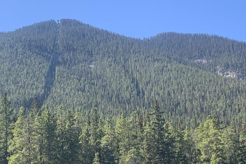 Airport Shuttle: Banff  Calgary - FAQs