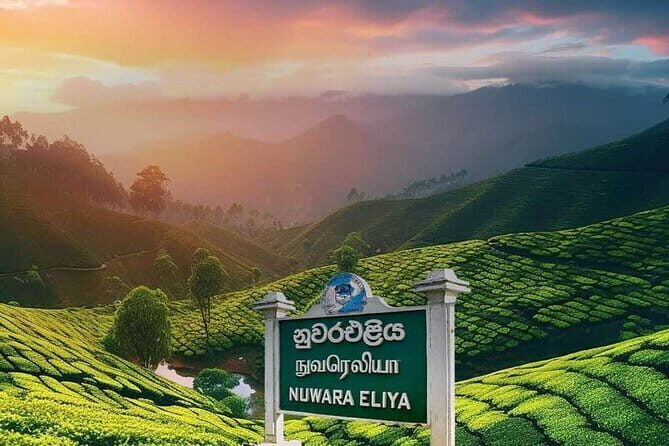 Airport Taxi Transfers from Colombo Airport to Nuwara Eliya - An Honest Look at the Colombo to Nuwara Eliya Transfer