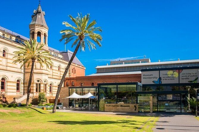Airport Transfer: Airport ADL to Adelaide by Business Car - Who Will Benefit Most?