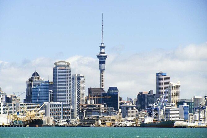 Airport Transfer: Auckland Airport AKL to Auckland by Luxury Van - An In-Depth Look at the Experience