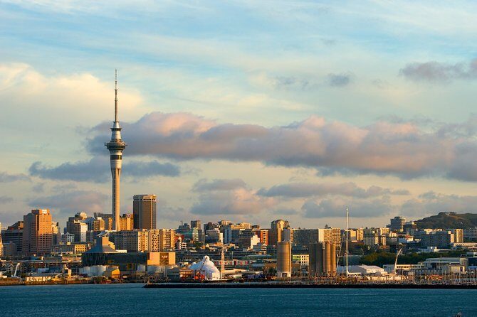 Airport Transfer: Auckland Airport AKL to Auckland by Sedan Car - Final Thoughts