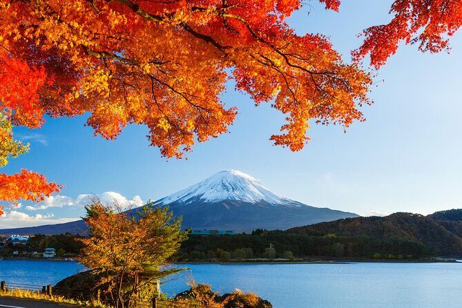 Airport transfer between Narita and Mount Fuji or Hakone Onsen - Key Points