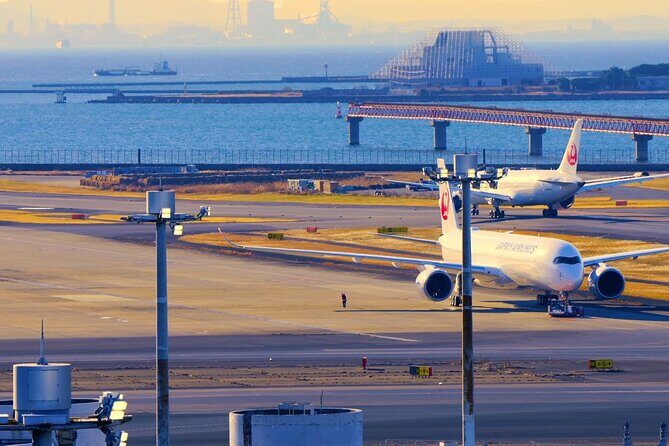 Airport transfer between Narita and Mount Fuji or Hakone Onsen - Who Is This Service Perfect For?