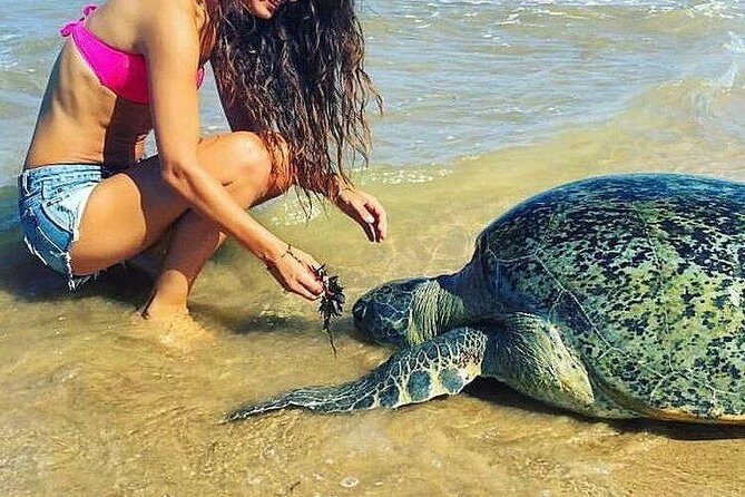 Airport Transfer by Hikkaduwa Taxi Service - FAQ