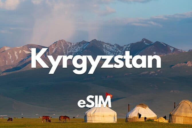 Airport transfer by Ventura Tours Central Asia, arrival/depart. - Final Thoughts