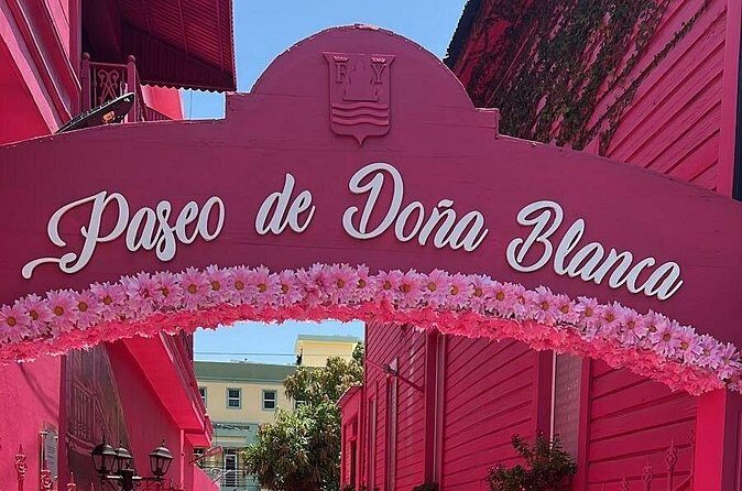 Airport Transfer From Santiago to Puerto Plata one way - The Sum Up