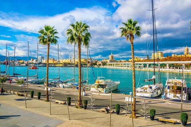 Airport Transfer: Malaga Airport AGP to Malaga by Luxury Car - Analyzing the Value