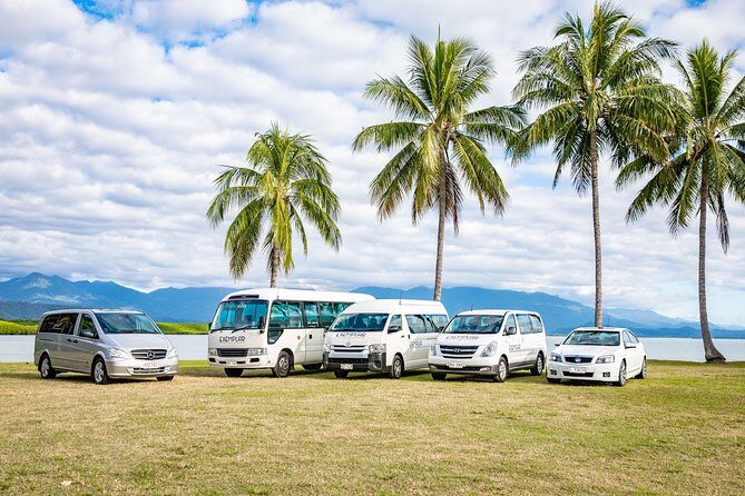 Airport Transfers between Cairns Airport and Cairns City - From Arrival to Departure: The Whole Experience