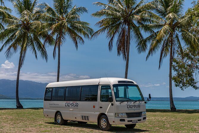 Airport Transfers between Cairns Airport and Port Douglas - First Impressions: From Plane to Port Douglas in Style and Ease