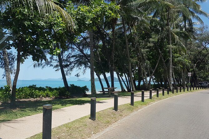 Airport Transfers between Cairns Airport and Port Douglas - Who Should Consider This Transfer?