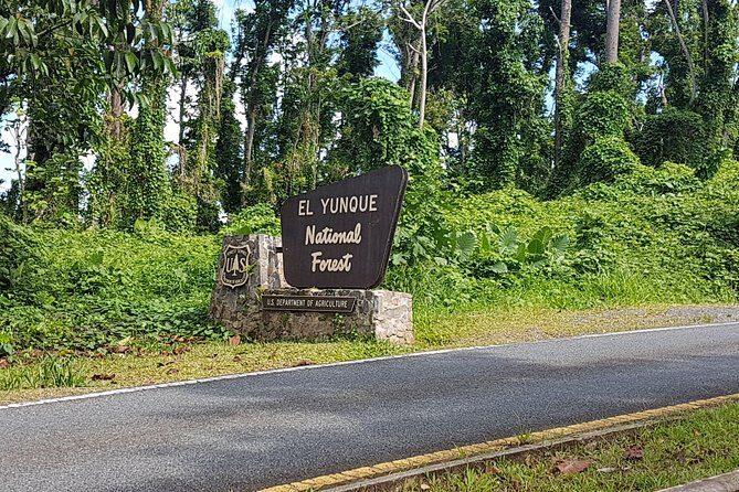 Airport transportation between San Juan and Rio Grande - Final Thoughts: Who Is This Transfer Best For?