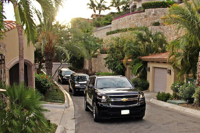 Airport Transportation One Way to Hotel in Cabo San Lucas - The Experience: What to Expect