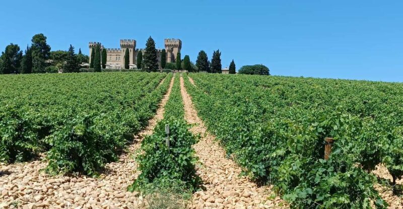 Aix-en-Provence: Avignon Tour & Chateauneuf-du-Pape Tasting - FAQs