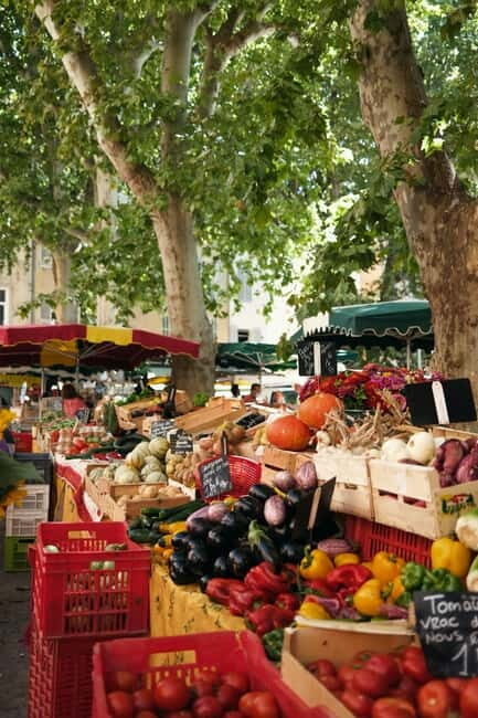Aix-en-Provence: Eat, Laugh, Love with Olivia - Practical Details: What to Know Before You Go
