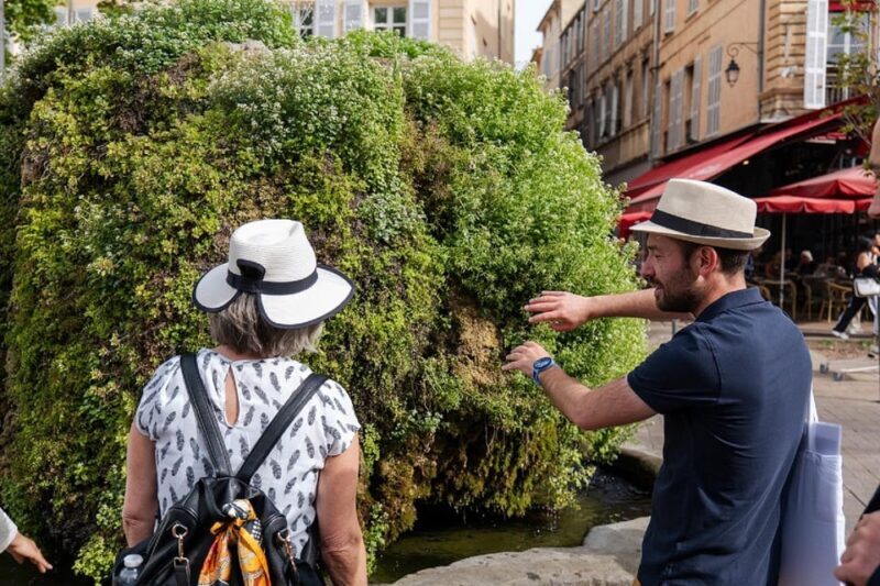 Aix en Provence Food & City tour Half Day tour - The Sum Up: Who Will Love This Tour?
