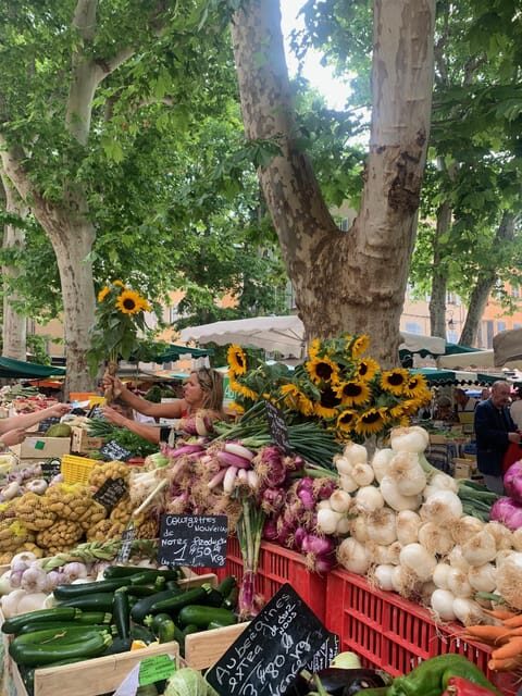 Aix-en-Provence: Gourmet and Cultural walking Tour - Who is This Tour For?