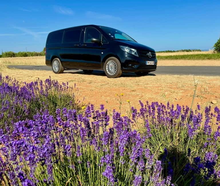 Aix en Provence: Lavender Fields & LOccitane Factory - An Overview of the Experience