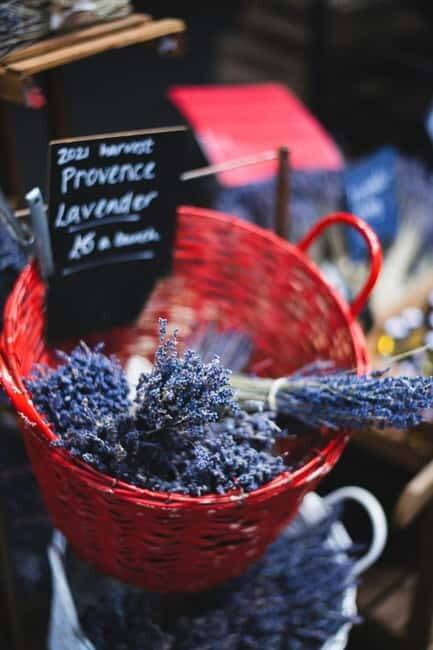 Aix en Provence: Lavender Fields & LOccitane Factory - How to Get the Most from Your Tour