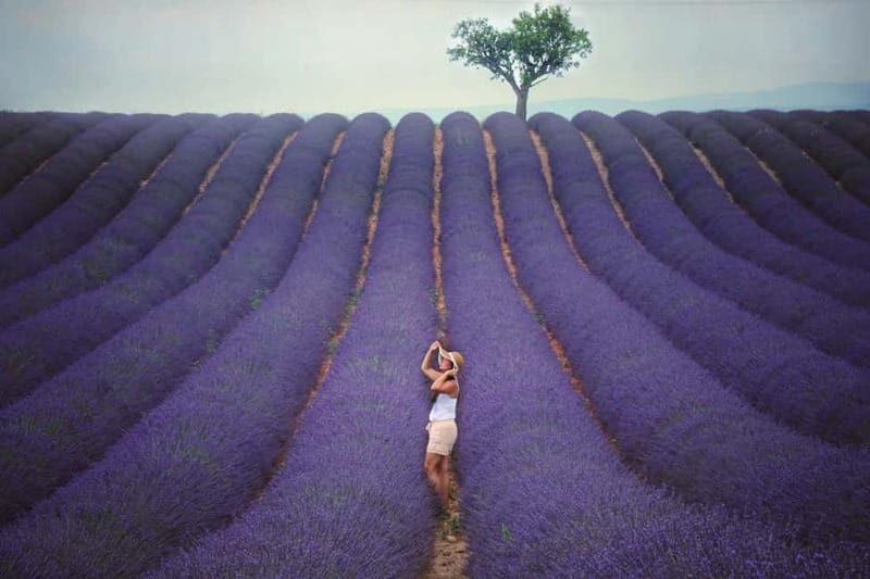 Aix en Provence: Lavender Fields & LOccitane Factory - Final Thoughts: Is This Tour Worth It?