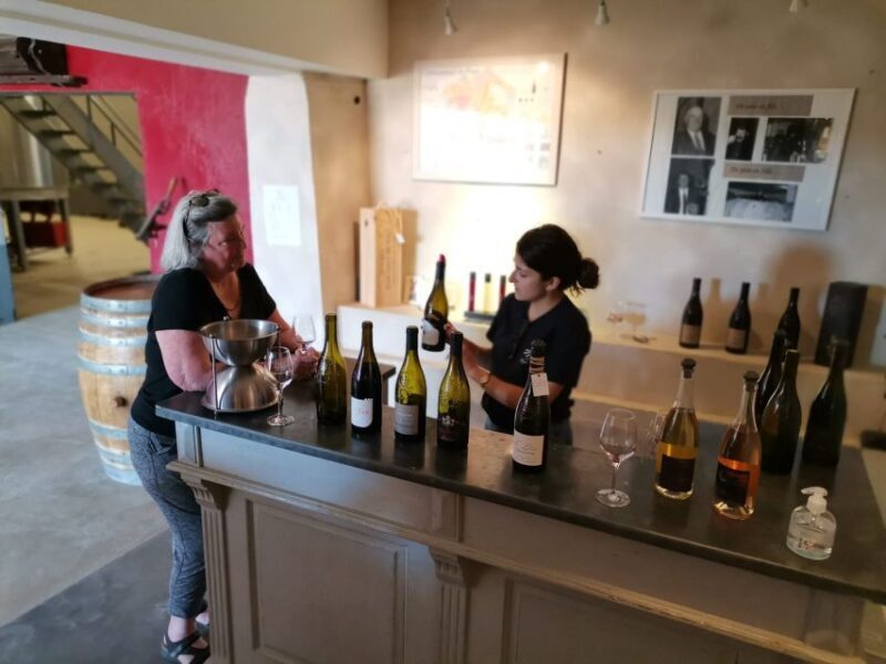 Aix-en-Provence: Medieval Village Art and Vineyards - A Closer Look at the Itinerary: What You Can Expect