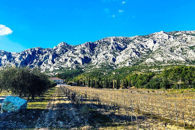Aix-en-Provence - Mt Sainte Victoire wines in search of Cézanne - An In-Depth Look at What the Tour Offers
