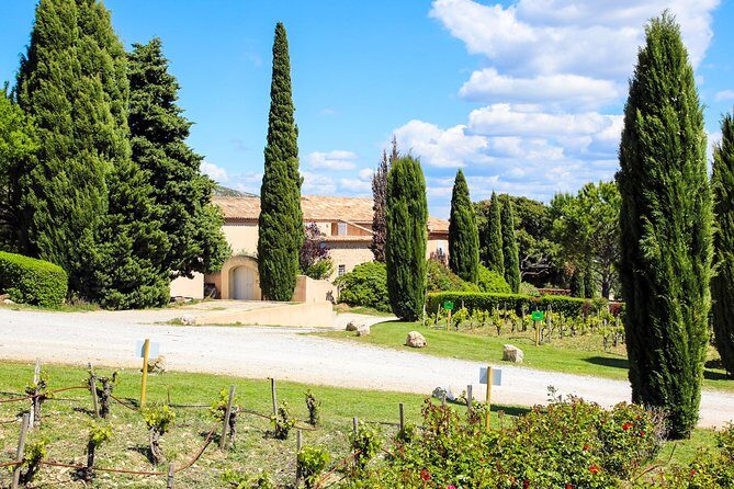 Aix-en-Provence - Mt Sainte Victoire wines in search of Cézanne - Who Will Enjoy This Tour?