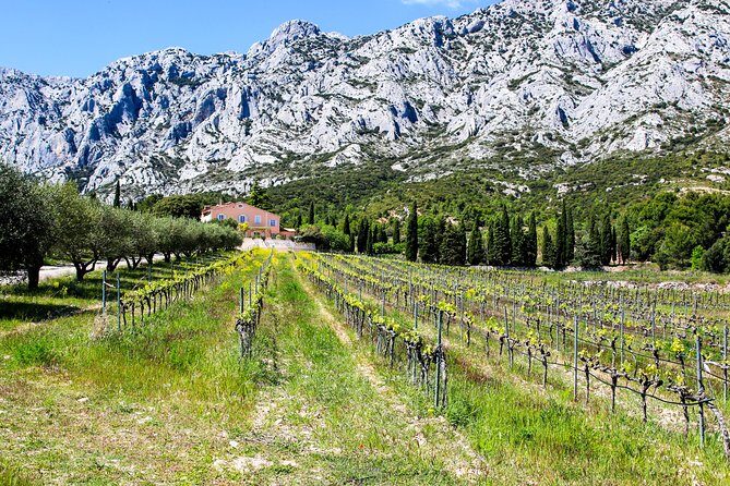 Aix-en-Provence - Mt Sainte Victoire wines in search of Cézanne - Final Thoughts: Is This Tour for You?