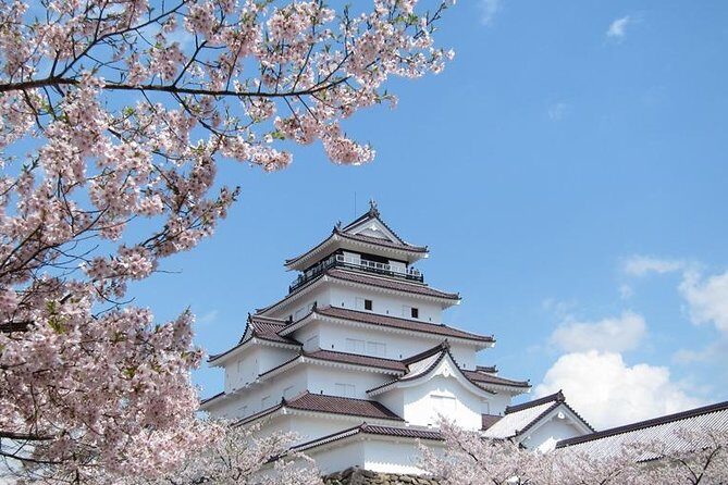 Aizu 4hr Private Tour with Government-Licensed Guide - Diving Deep into the Experience