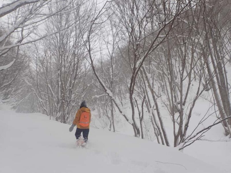 Aizu: Traditional Snowshoe Trek & Local Walnut Soba - A Closer Look at the Experience