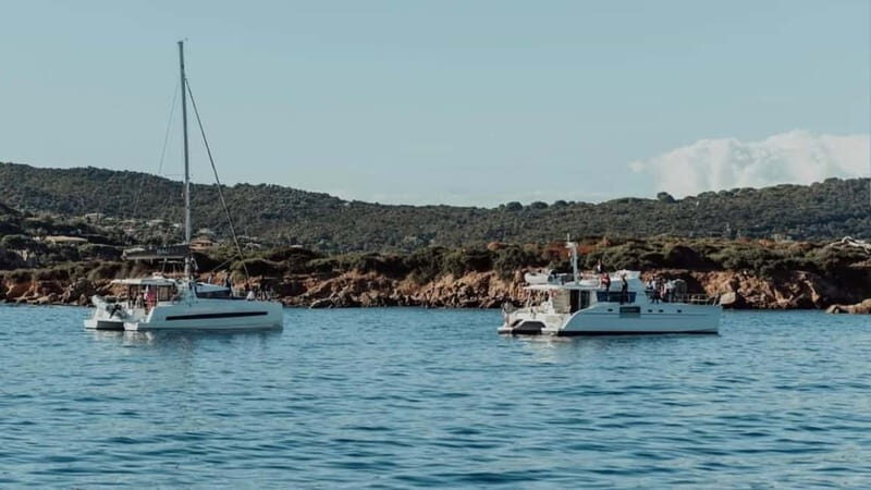 Ajaccio: Full-Day Private Catamaran Tour with Chez Francis - What’s the Experience Like?