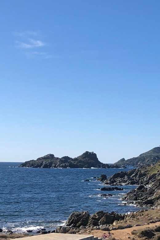 Ajaccio: Town Highlights and Coast Open-Top Bus Tour - An In-Depth Look at the Tour