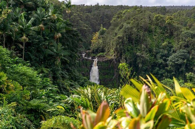 Akaka Falls Tour - Volcanoes National Park and Hilo Discovery - The Itinerary in Detail: Why This Tour Works