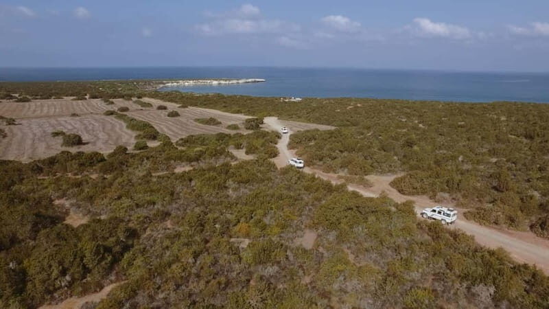 Akamas Jeep Safari Tour from Paphos - Key Points