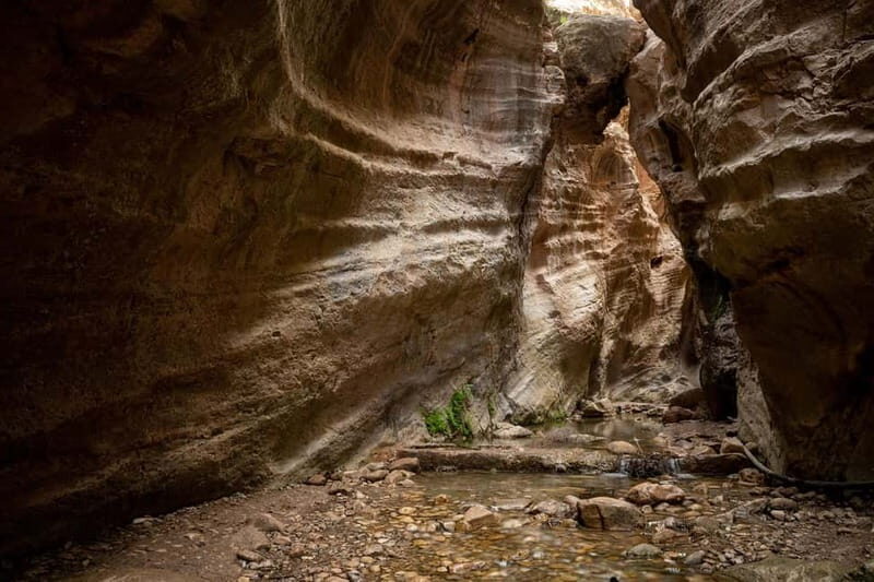 Akamas Jeep Safari Tour from Paphos - The Value of This Experience
