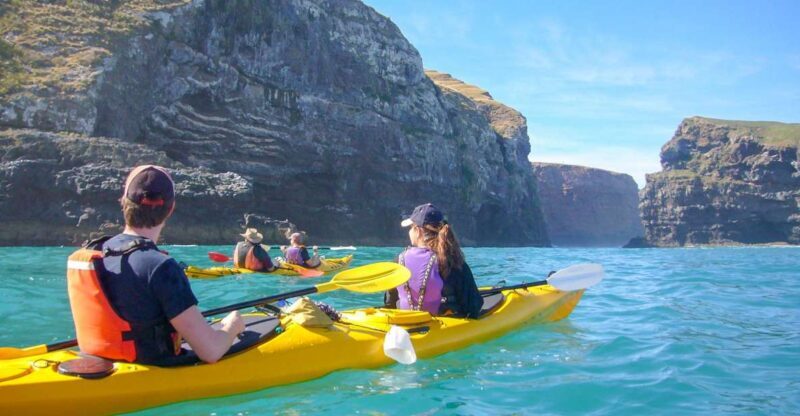 Akaroa: 4WD Safari and Guided Sea-Kayaking Experience - Photo Opportunities Along the Way