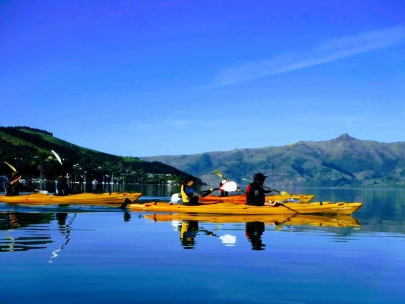 Akaroa: Akaroa Marine Reserve Sea Kayaking Tour - Exploring the Akaroa Marine Reserve Sea Kayaking Tour