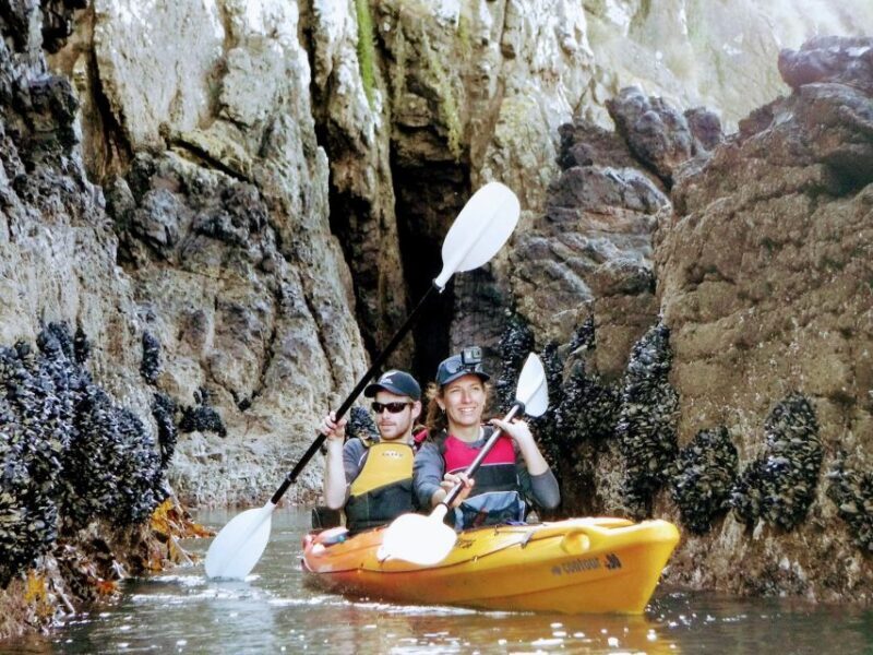Akaroa: Akaroa Marine Reserve Sea Kayaking Tour - Why Consider the Akaroa Marine Reserve Sea Kayaking Tour?