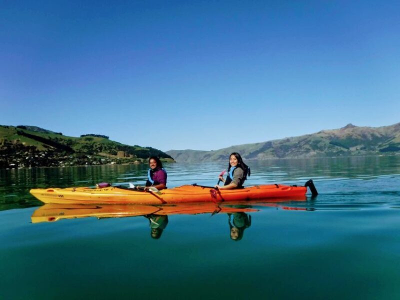 Akaroa: Akaroa Marine Reserve Sea Kayaking Tour - Who Will Love This Tour?