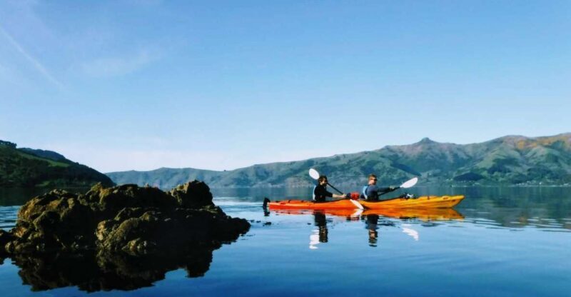 Akaroa: Akaroa Marine Reserve Sea Kayaking Tour - Final Thoughts