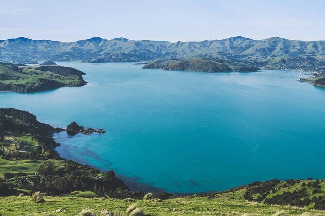 Akaroa and Akaroa Dolphins Day Tour - Starting Point: Little River – The Artful Gateway