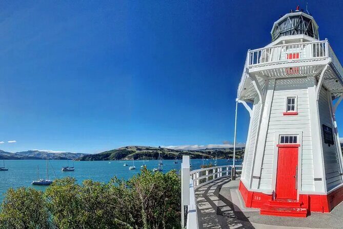Akaroa and Akaroa Dolphins Day Tour - The Heart of Akaroa Village (2 Hours)
