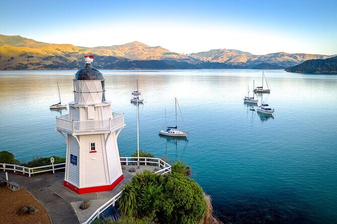 Akaroa and Banks Peninsula From Christchurch (Private Tour) - Who Will Love This Tour?