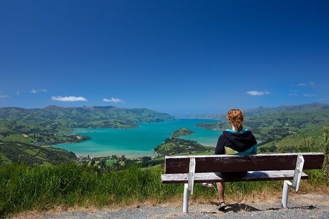 Akaroa and Banks Peninsula From Christchurch (Private Tour) - Final Thoughts