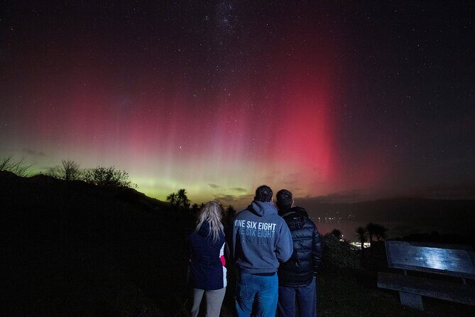 Akaroa Astronomy Bites - Sun to Stars and Platter - Authentic Traveler Perspectives